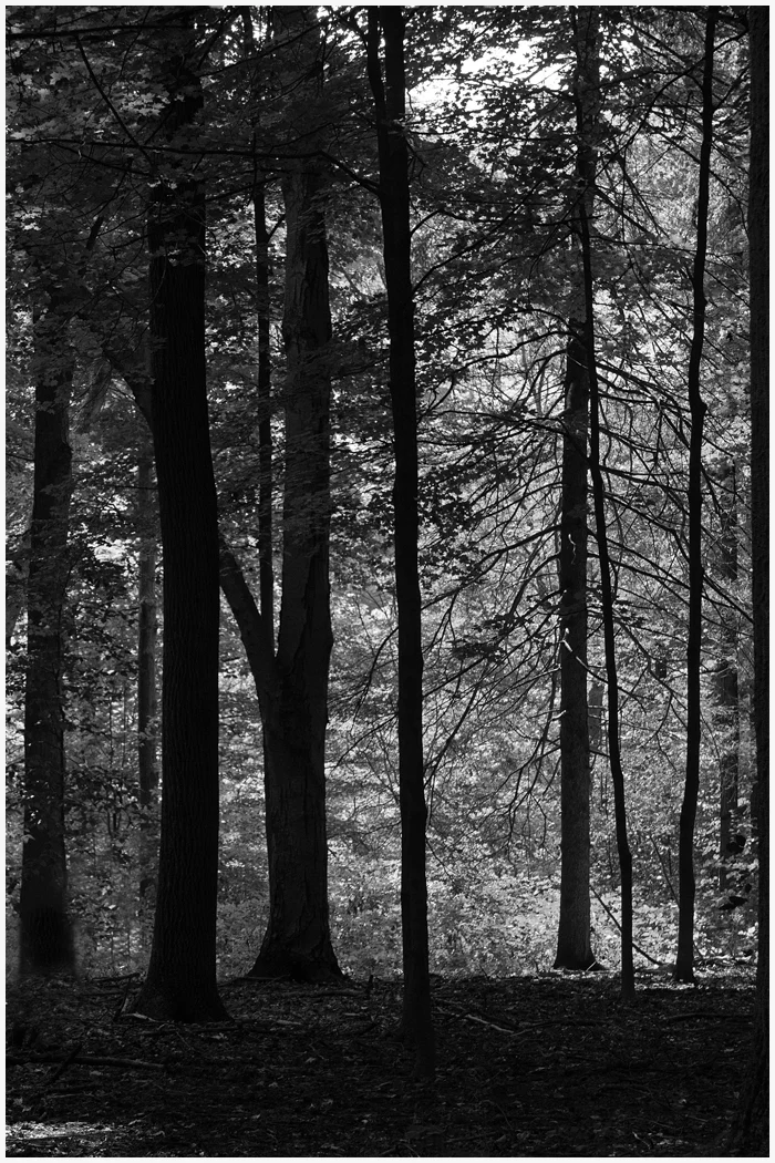 Along-the-Side-of-the-Road_Andrew-Crosby_First-Place-1.webp – Teaneck ...