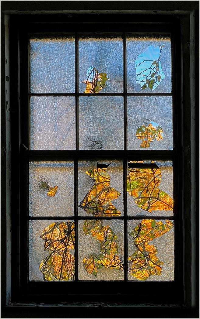 Kathy_Duke_Shades-of-Autumn-Through-The-Broken-Window_Award.webp ...
